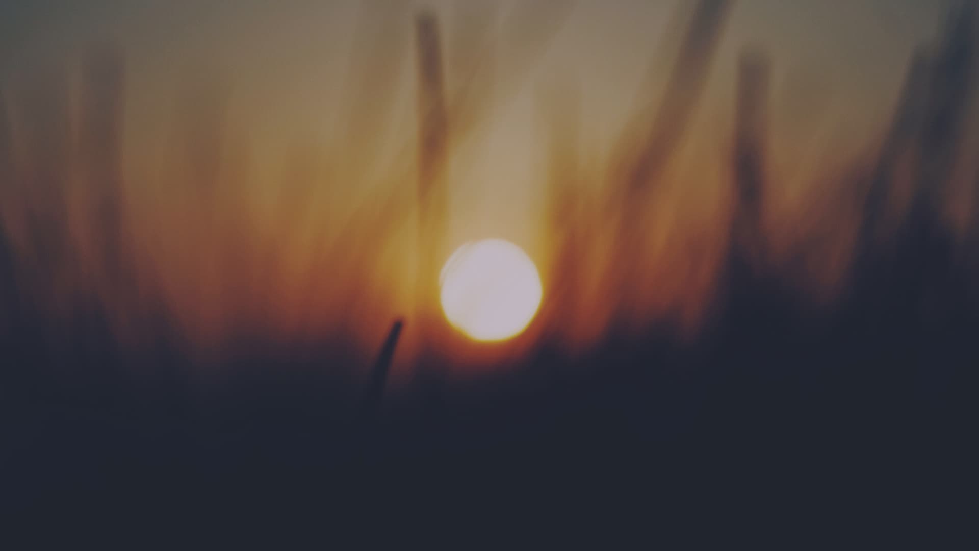 The biggest daylight development in a decade. | Hoare Lea